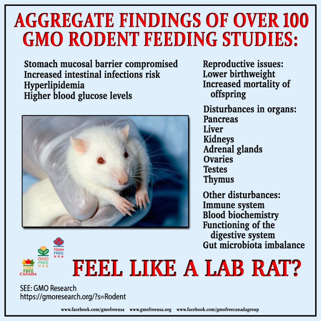 Home - Gmo Free Florida